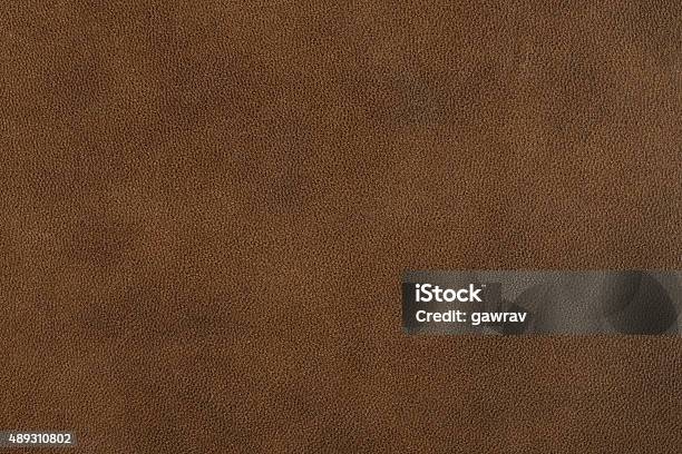 Latar Belakang Bertekstur Kulit Coklat Kusam Asli Foto Stok Unduh