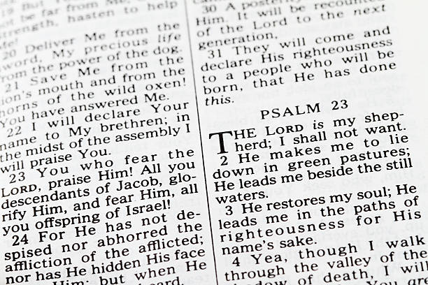 Psalm 23 Pictures | Download Free Images on Unsplash