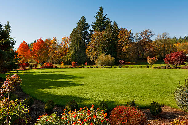 1000+ Beautiful Garden Pictures | Download Free Images on Unsplash