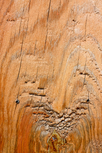 Wood Texture 照片檔及更多 三夾板 照片 三夾板 厚板 咖啡色 Istock