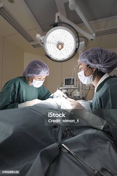 Dua Dokter Bedah Hewan Di Ruang Operasi Foto Stok - Unduh Gambar ... Dua Dokter Bedah Hewan Di Ruang Operasi Foto Stok - Unduh Gambar ...