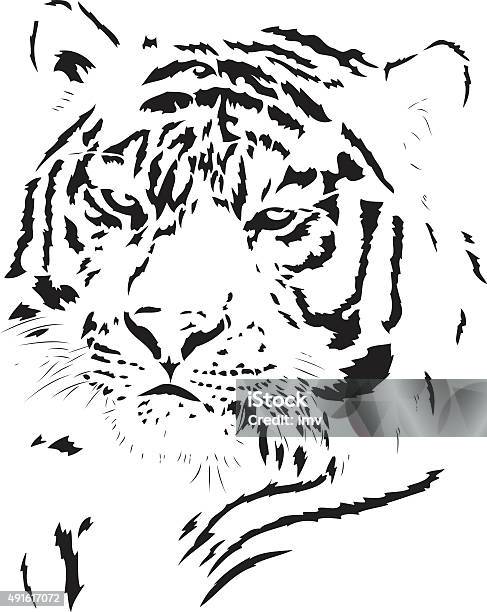 Tiger 일러스트 호랑이에 대한 스톡 벡터 아트 및 기타 이미지 호랑이 흑백 2015년 Istock