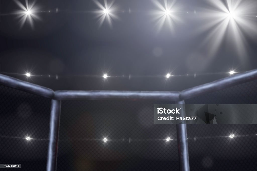 Mma 사각의 단계에 따라 조명 측면 보기 격투기에 대한 스톡 사진 및 기타 이미지 격투기 싸우기 사각의 링 Istock