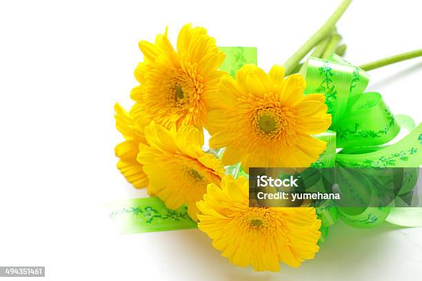 5 옐로우 Gerbera 꽃 국화와 흰색 바탕에 그림자와 0명에 대한 스톡 사진 및 기타 이미지 0명 5 거베라데이지