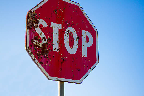 Free picture: Scratched and discarded traffic sign stop, an old road ...