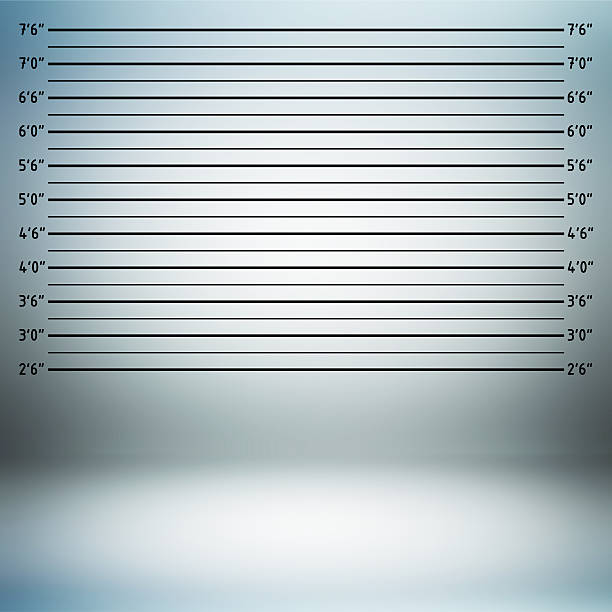 Line Up Pictures | Download Free Images on Unsplash