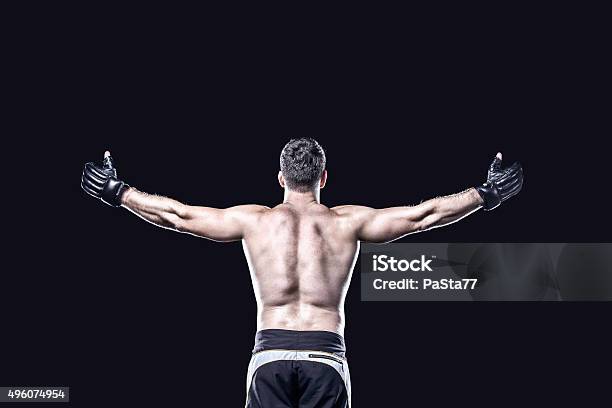 Mma 전투기 왔던 승리 미진 전망 격리됨에 2015년에 대한 스톡 사진 및 기타 이미지 2015년 결심 근육질 체격