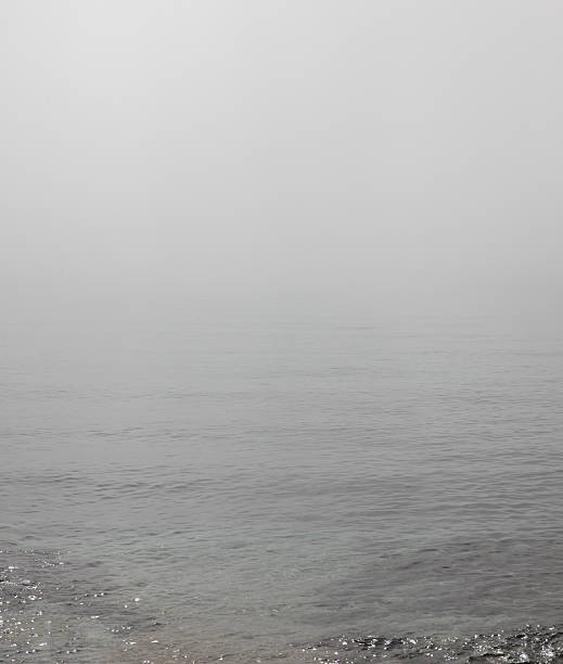Gog Pictures | Download Free Images on Unsplash