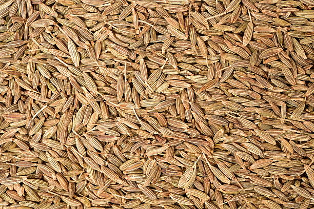 Cumin Seeds Pictures | Download Free Images on Unsplash