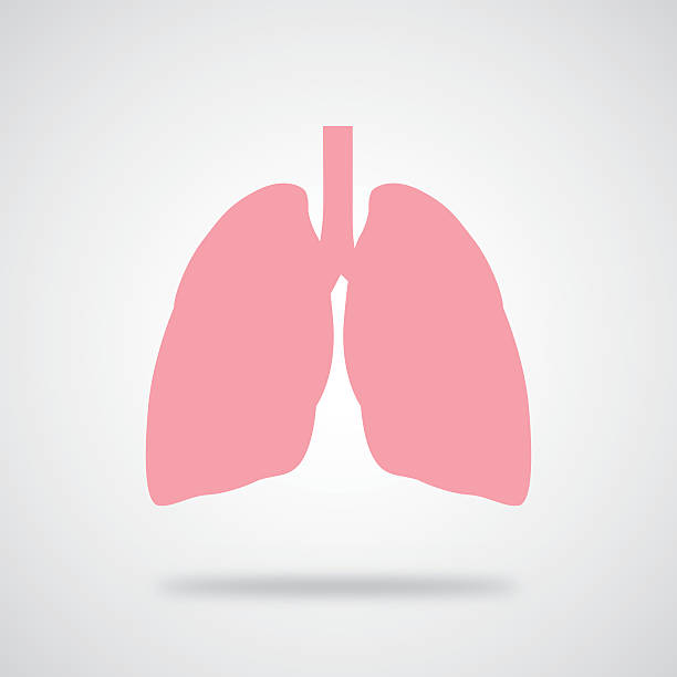 47,300+ Lungs Stock Illustrations, Royalty-Free Vector Graphics & Clip ... 47,300+ Lungs Stock Illustrations, Royalty-Free Vector Graphics & Clip ...