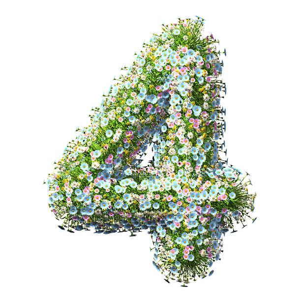 50 Fotos Bilder Und Lizenzfreie Bilder Zu Grass Number Number 4 Three Dimensional Shape Istock