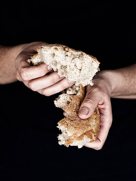Breaking Bread Pictures | Download Free Images on Unsplash