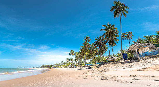 Beach Front Pictures | Download Free Images on Unsplash
