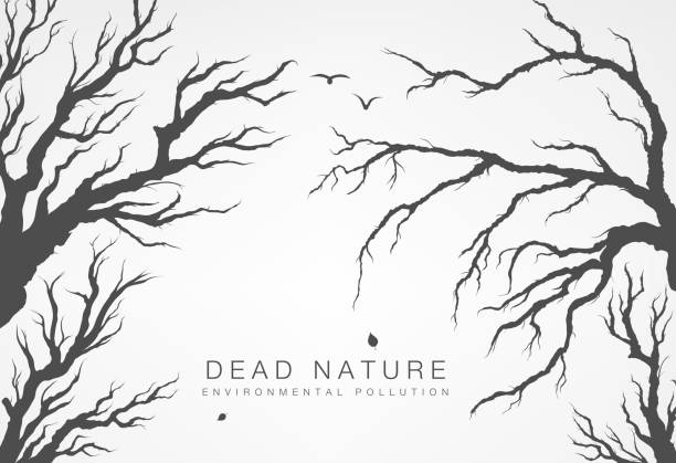 Dead Forest Drawing Dead Forest Drawing