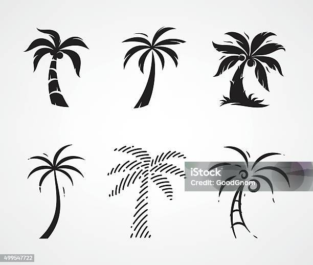 Palm Tree向量圖形及更多棕櫚樹圖片 棕櫚樹 椰樹 側影 Istock