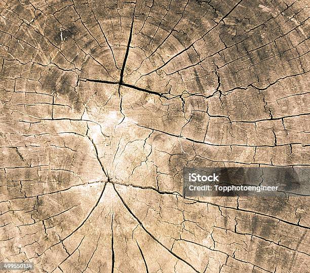 Wood Texturewood Texture Background 照片檔及更多 2015年 照片 2015年 乾的 咖啡色