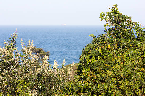 Free photo "Durban" by Riaan Myburgh