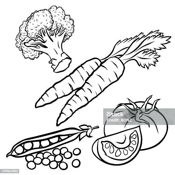 Vegetables Illustration For Coloring Book Design向量圖形及更多蔬菜類圖片 蔬菜類 著色