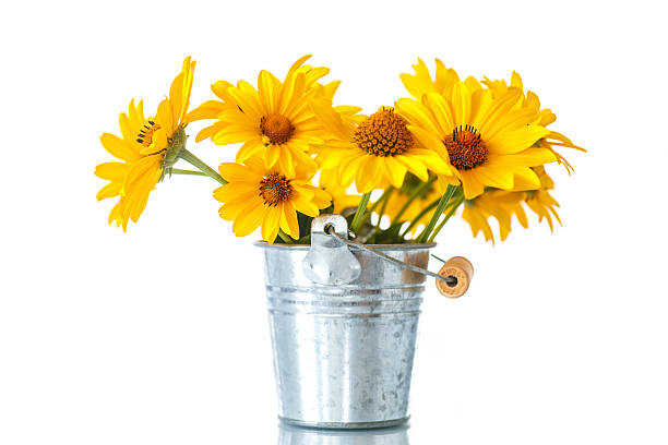 Flower Bucket Pictures | Download Free Images on Unsplash