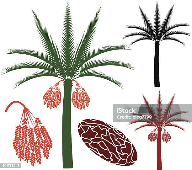 Palm Tree向量圖形及更多椰棗樹圖片 椰棗樹 矢量圖 棕櫚樹 Istock