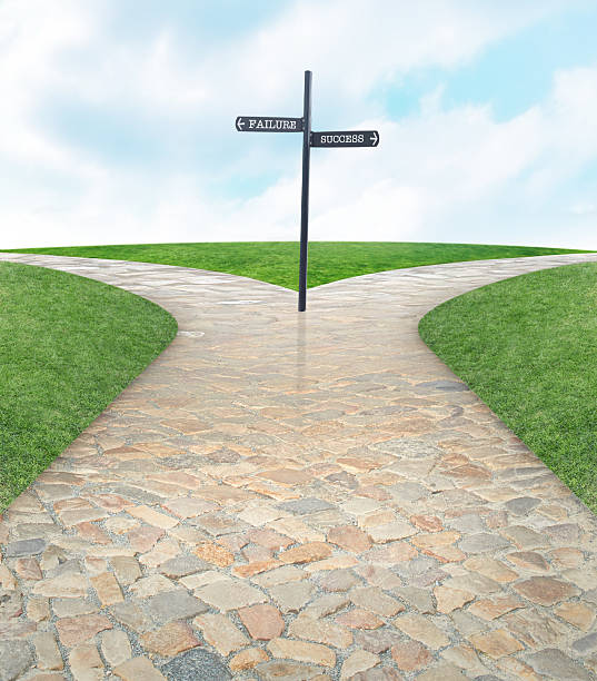 Split Path Pictures | Download Free Images on Unsplash