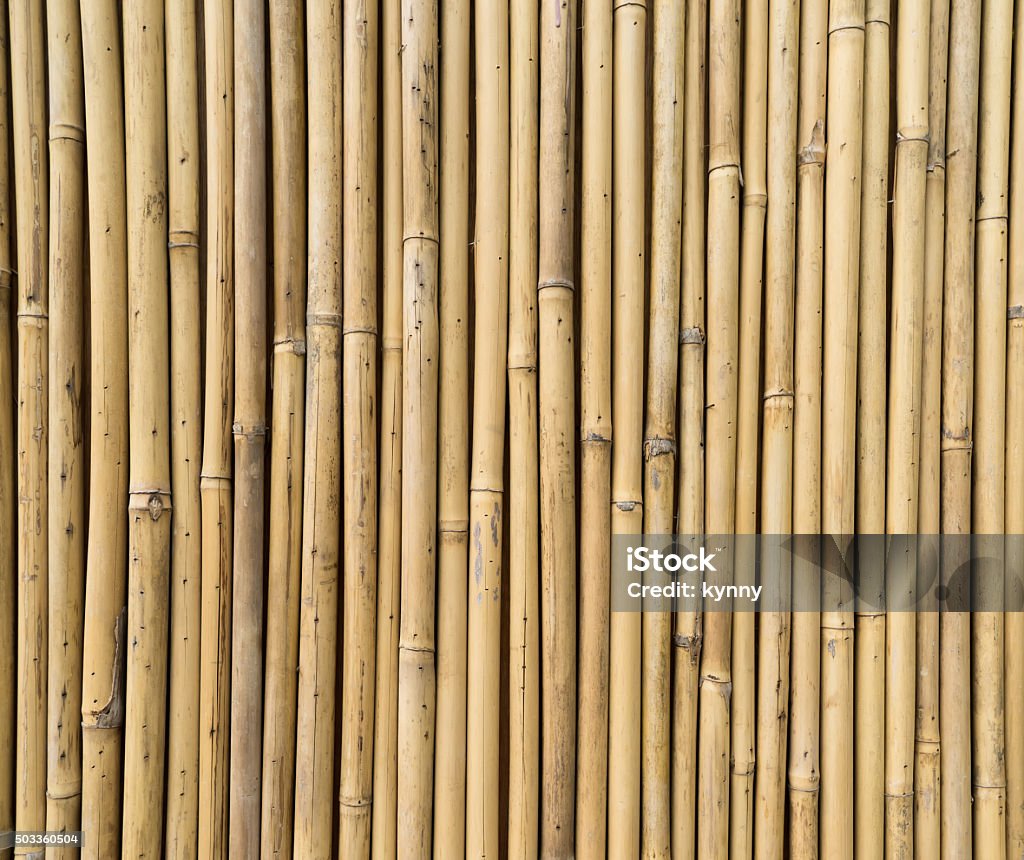 Bamboo Texture Stock Photo - Download Image Now - Asia, Backgrounds ... Bamboo Texture Stock Photo - Download Image Now - Asia, Backgrounds ...