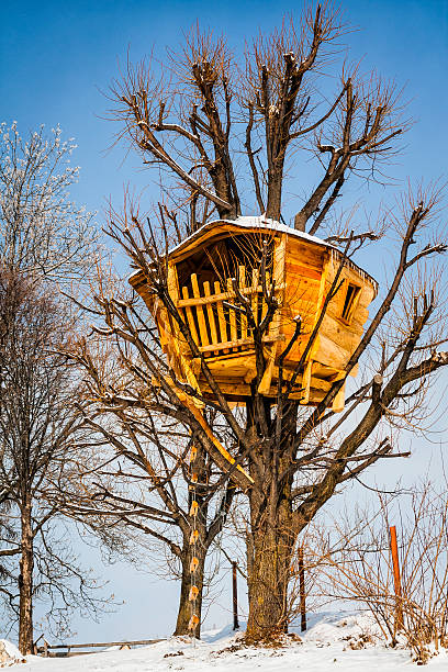 Free Stock Photo of Treehouse in the Snow | Download Free Images and ...