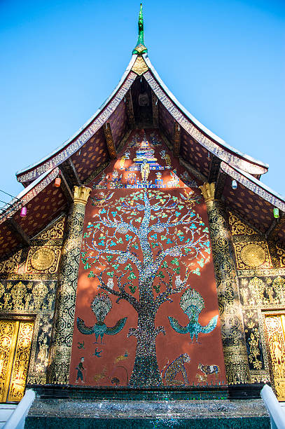 1000+ Tree Of Life Pictures | Download Free Images on Unsplash