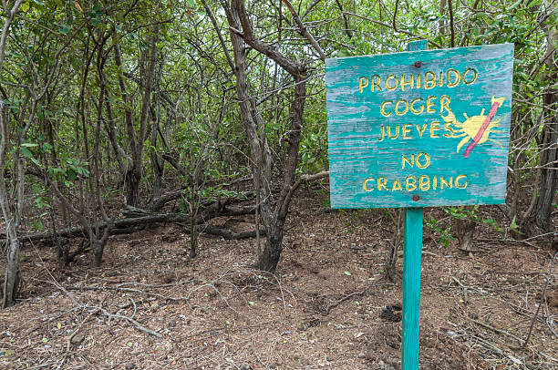 Free Stock Photo of Coral Culebra Sign | Download Free Images and Free ...