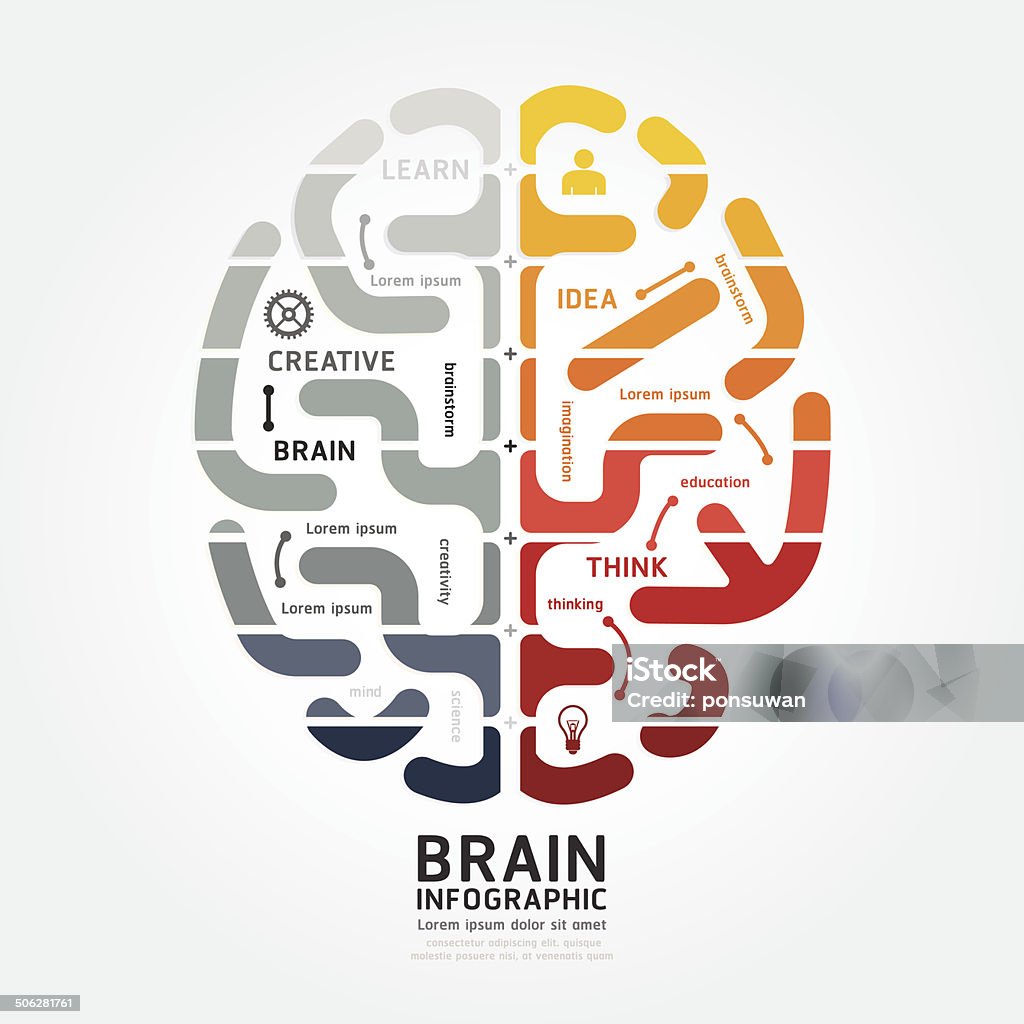 Infographics Vector Brain Design Diagram Line Monochrome Colour Stock ... Infographics Vector Brain Design Diagram Line Monochrome Colour Stock ...