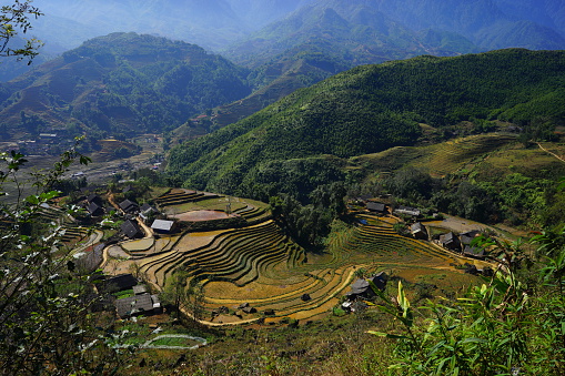 Valley Of 쌀 테라스 필드를 Sapa 베트남 0명에 대한 스톡 사진 및 기타 이미지 0명 가을 경관 Istock