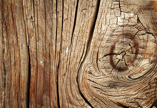 Wood Texture 照片檔及更多 木材 材料 照片 木材 材料 木紋 木材 建築材料 Istock