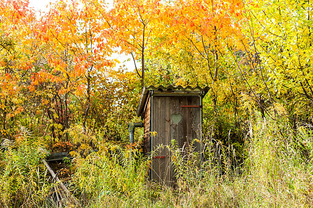 Free Stock Photo of White Outhouse With Graffiti | Download Free Images ...