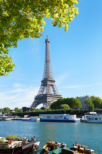 Eiffel Tower 및 센 강 나무는 초록색입니다 파리 도시 경관에 대한 스톡 사진 및 기타 이미지 도시 경관 파리 일
