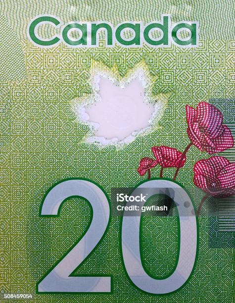 Photo libre de droit de Remarque De 20 Dollars Canadiens Macro banque d ... Photo libre de droit de Remarque De 20 Dollars Canadiens Macro banque d ...