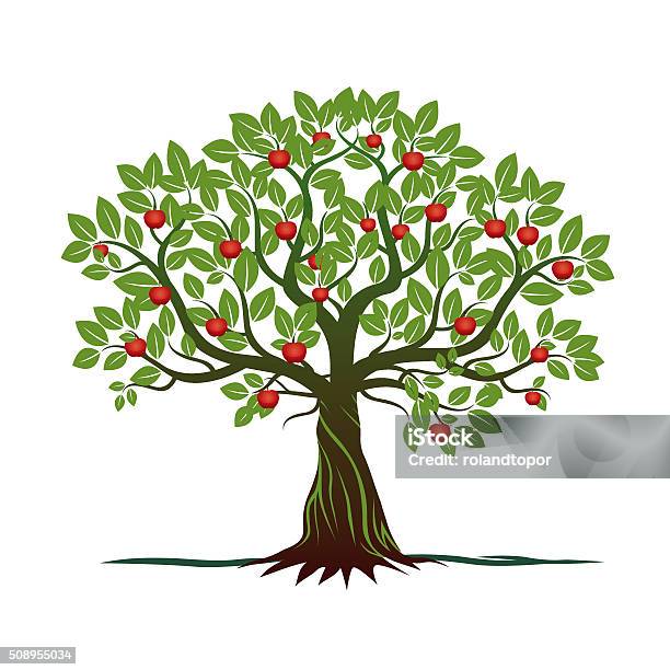 Arbre Avec Vert Feuilles Racines Et Des Pommes Rouges Illustration De ... Arbre Avec Vert Feuilles Racines Et Des Pommes Rouges Illustration De ...