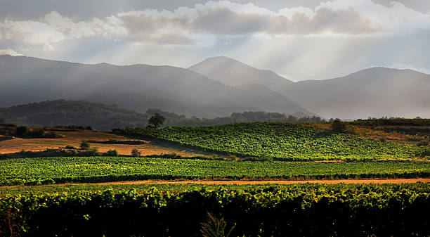 Rioja Pictures | Download Free Images on Unsplash