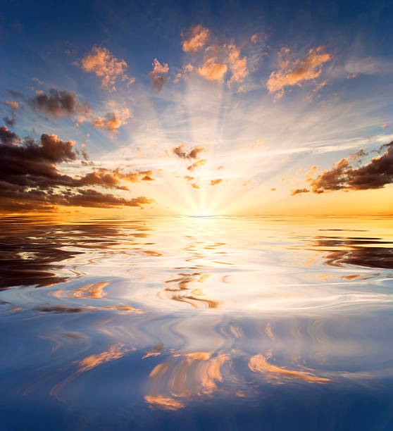 Sun Reflection Pictures | Download Free Images on Unsplash