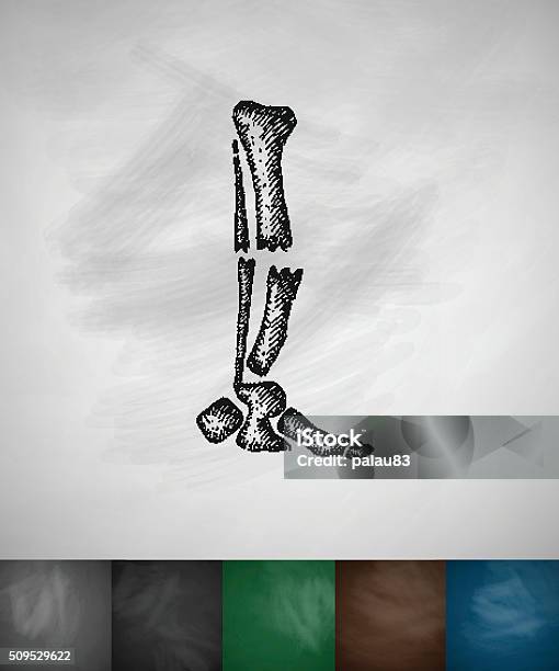 X선 아이콘 건강 진단에 대한 스톡 벡터 아트 및 기타 이미지 건강 진단 건강관리와 의술 교육 Istock