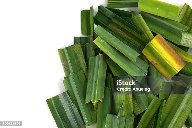 Pandan 얇게 썬 흰색 바탕에 흰색 배경 0명에 대한 스톡 사진 및 기타 이미지 0명 건강관리와 의술 건강한 식생활