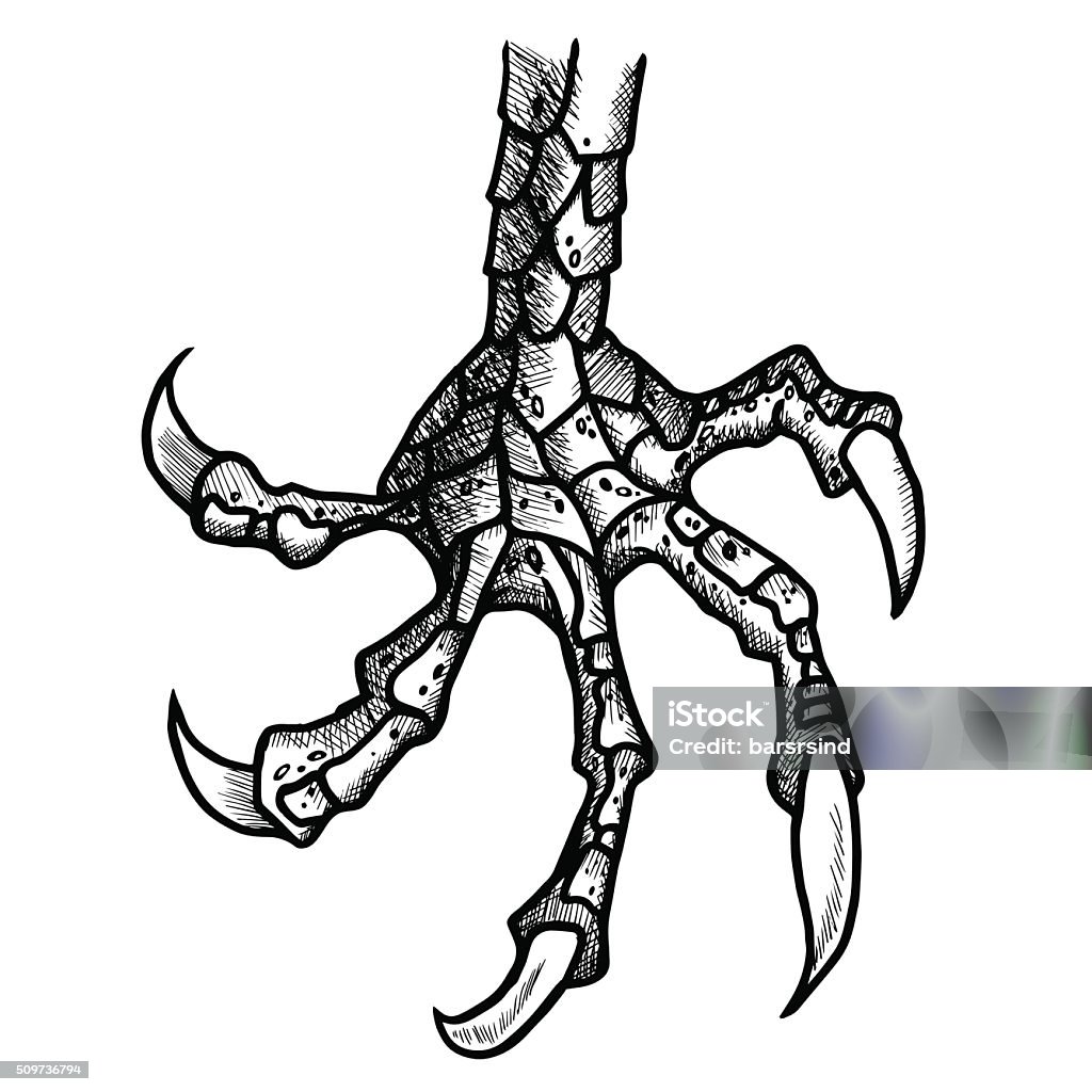 Dragon 또는 몬스터 발 갈고리 발톱에 대한 스톡 벡터 아트 및 기타 이미지 갈고리 발톱 격노한 늑대인간 Istock