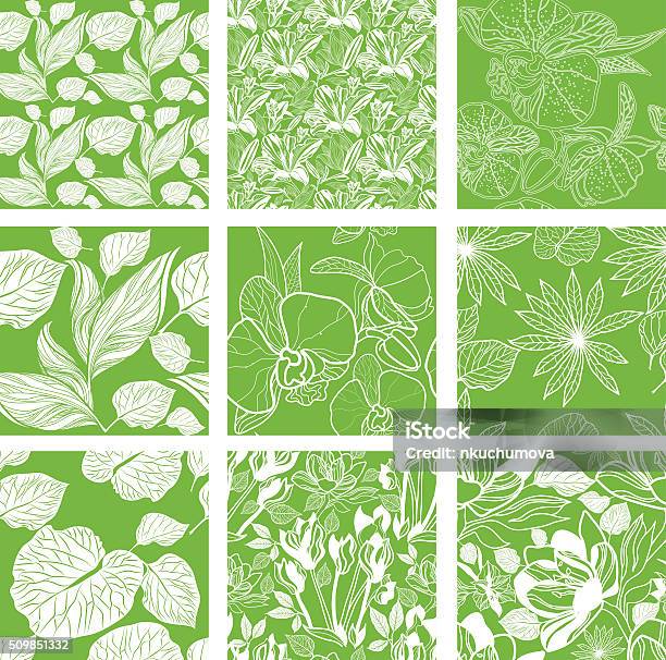 Set Of Nine Seamless Floral Patterns向量圖形及更多一組物體圖片 一組物體 大自然 大自然美