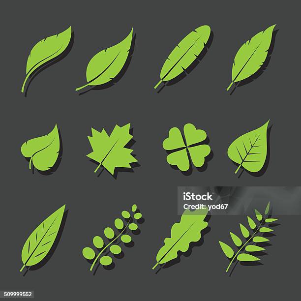 Vector Leaves Green Icon Set On Black Background向量圖形及更多三葉草圖片 三葉草 圖標集