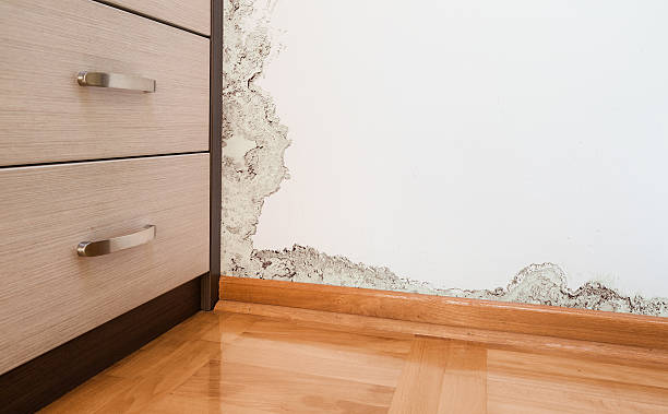 Water Damage Pictures | Download Free Images on Unsplash