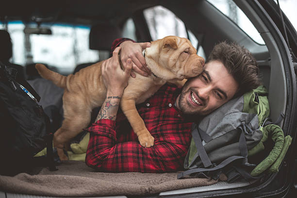 Man And Animal Pictures | Download Free Images on Unsplash