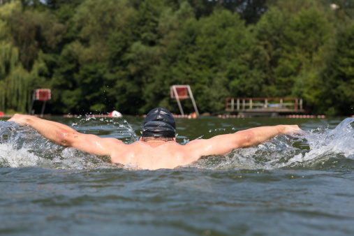 Swimmer 나비 또는 돌고래 수영 뇌졸중에는 수영 동작 활동에 대한 스톡 사진 및 기타 이미지 수영 동작 활동 경쟁