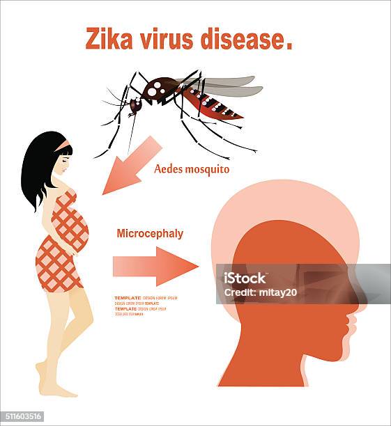 Zika 발열 바이러스 개념에 대한 스톡 벡터 아트 및 기타 이미지 개념 개념과 주제 개발 Istock