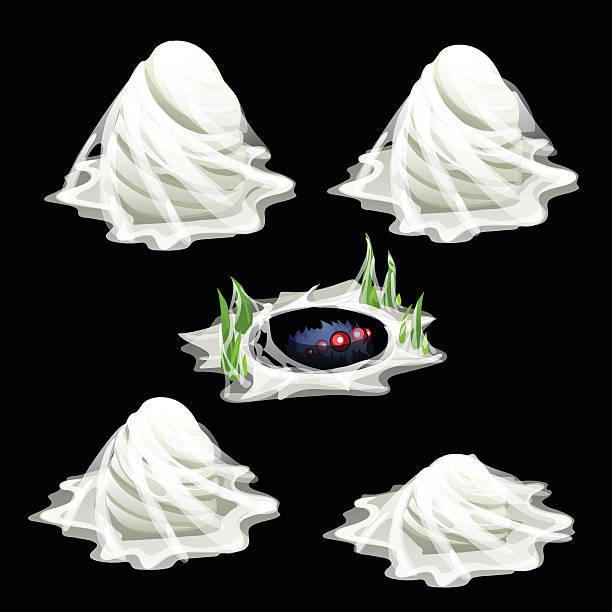 580 Spider Cocoon Stock Illustrations Royalty Free Vector Graphics