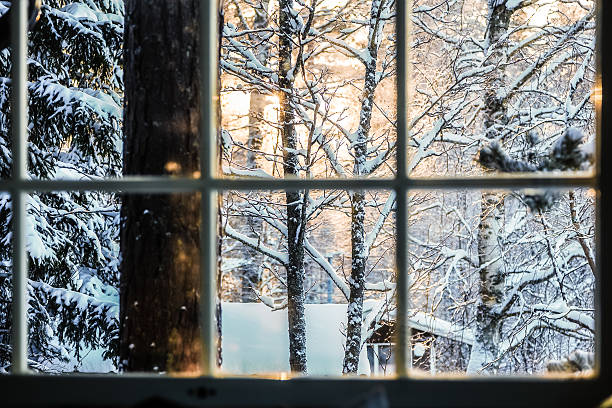 Snow Window Pictures | Download Free Images on Unsplash