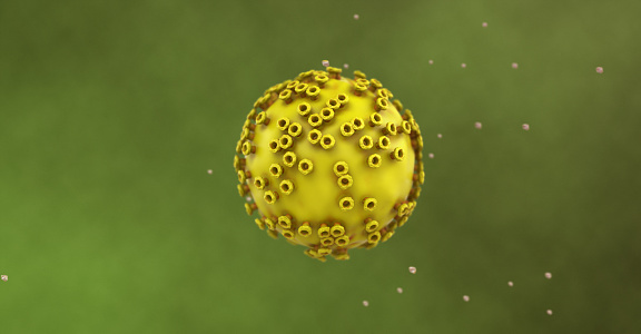 Human Papilloma Virus 인간 유두종 바이러스 바이러스에 대한 스톡 사진 및 기타 이미지 바이러스 사람들